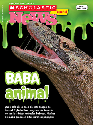 Baba animal - May / June 2019