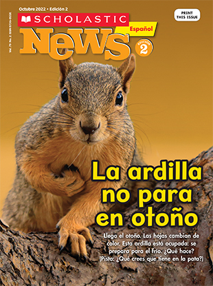 La ardilla no para en otoño - October 2022