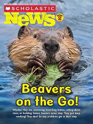 Beavers on the Go! - Nov / Dec 2020