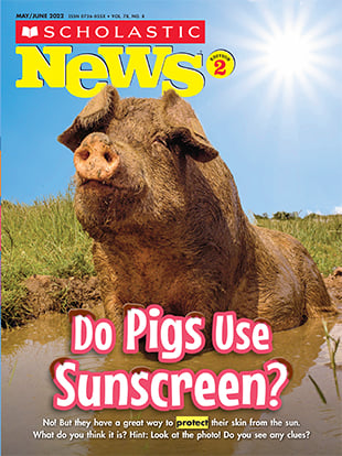 Do Pigs Use Sunscreen? - May / June 2022