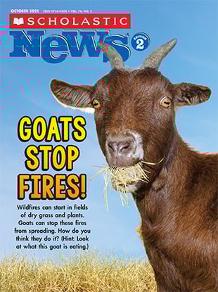 Goats Stop Fires! - October 2021