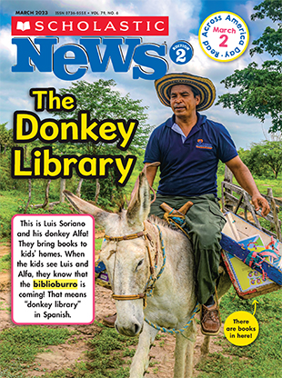 The Donkey Library - March 2023
