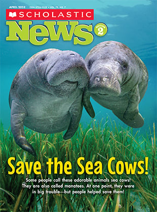 Save the Sea Cows! - April 2023