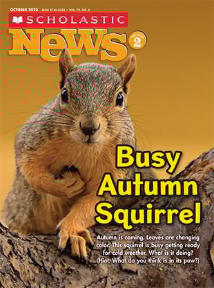 Busy Autumn Squirrel - October 2022