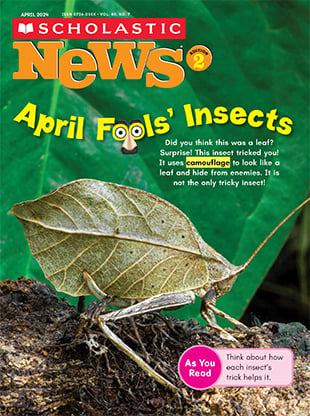 April Fools' Insects - April 2024