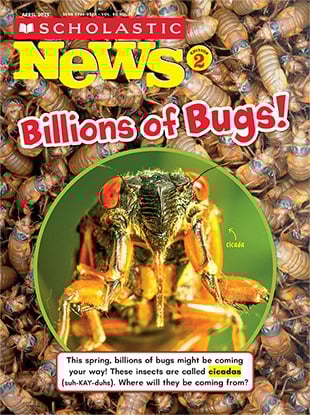 Billions of Bugs! - April 2025