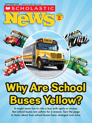 Why Are School Buses Yellow