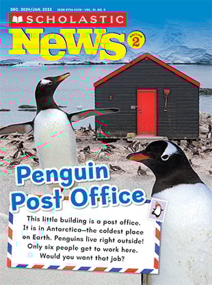 Penguin Post Office - Dec 2024 / Jan 2025