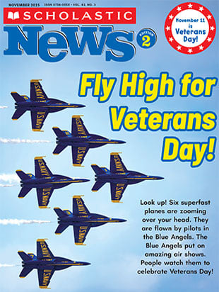 Fly High for Veterans Day! - November 2025