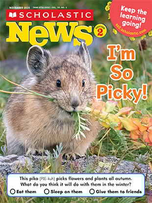 I'm So Picky! - November 2025